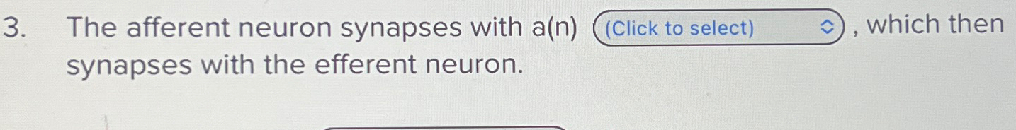Solved The afferent neuron synapses with a(n) , ﻿which | Chegg.com