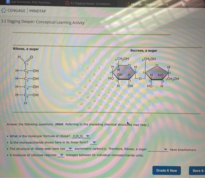 Solved 3 3.2 Digging Deeper Concesituu. Mind top-Cengage | Chegg.com