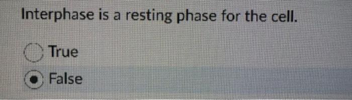 Solved Interphase is a resting phase for the cell. True | Chegg.com