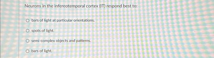 Solved Neurons in the infereotemporal cortex (IT) respond | Chegg.com