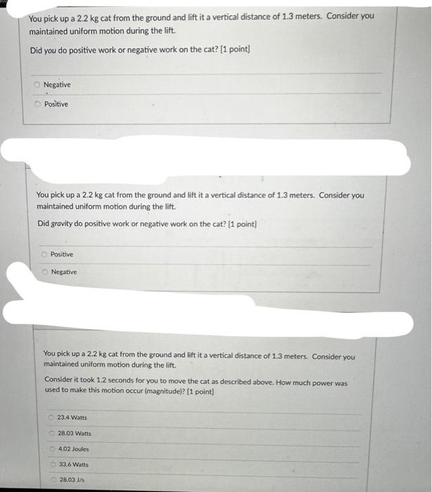 Solved You pick up a 2.2 kg cat from the ground and lift it | Chegg.com