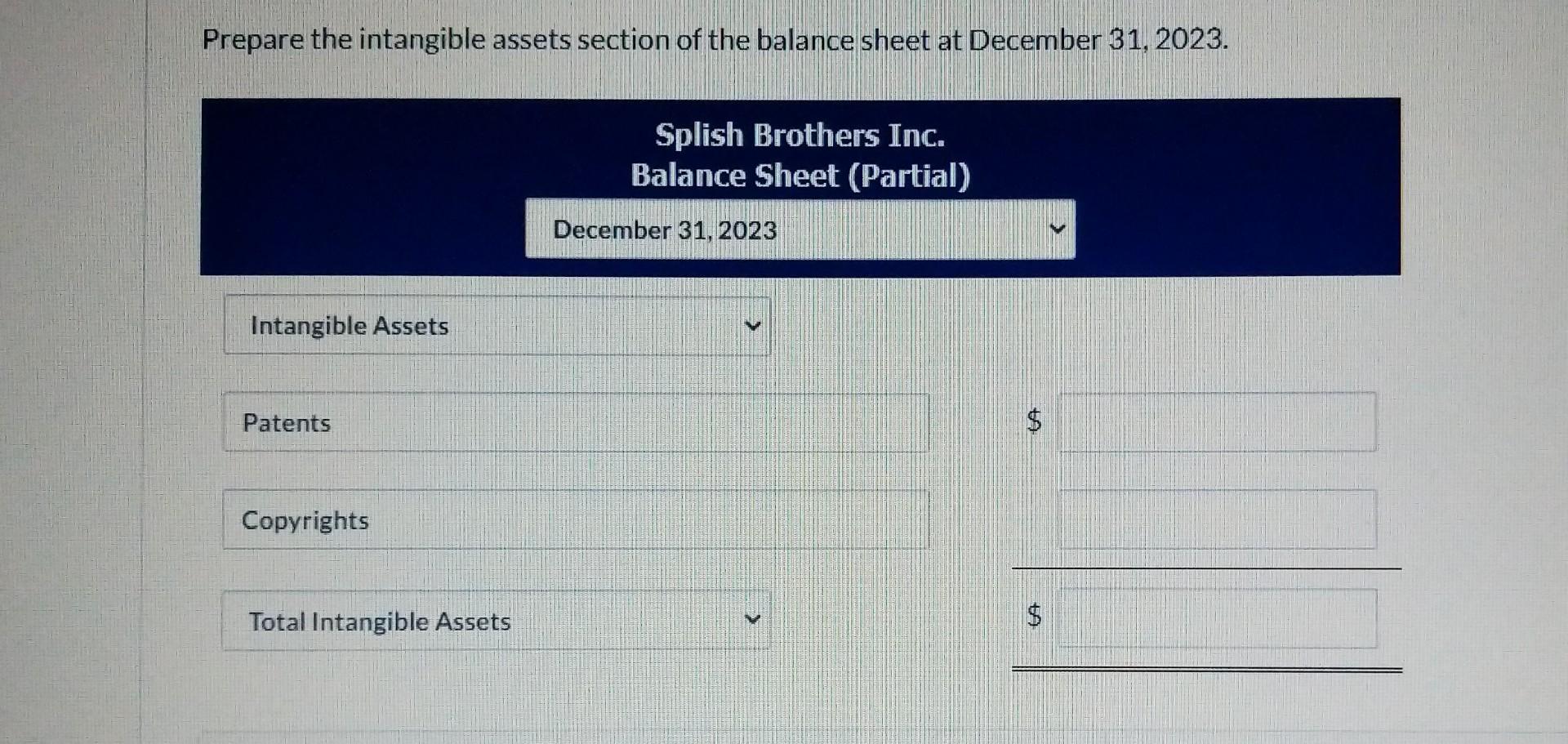 Solved The intangible assets section of Splish Brothers | Chegg.com