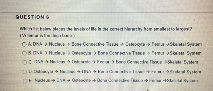 Solved QUESTION 6 Which List Below Places The Levels Of Life Chegg solved-question-6-which-list-below-places-the-levels-of-life-chegg
