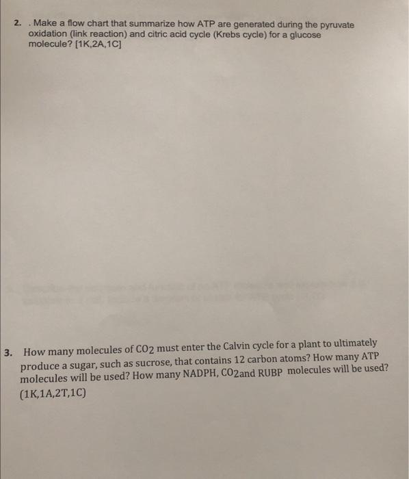 Solved 2. Make a flow chart that summarize how ATP are | Chegg.com