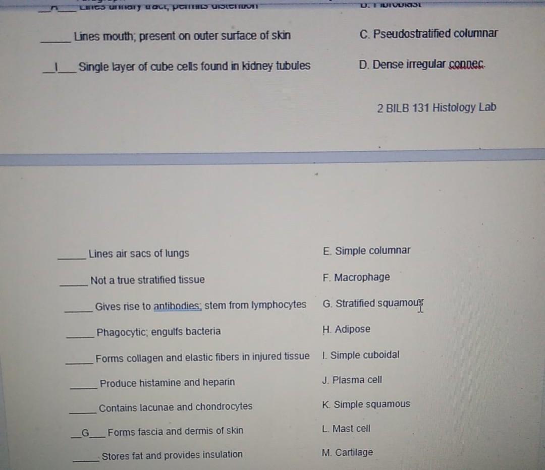 Solved 1. MATCHING-Match the tissues to their functions E | Chegg.com