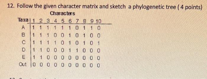 Solved 12. Follow the given character matrix and sketch a | Chegg.com