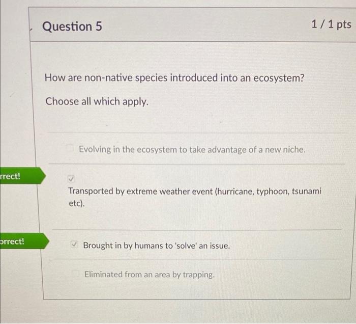 Solved Correct! Correct! Correct! Correct! Correct! Correct! | Chegg.com