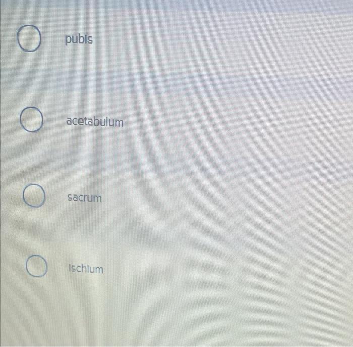 Which structure is highlighted? Multiple Choice leum | Chegg.com