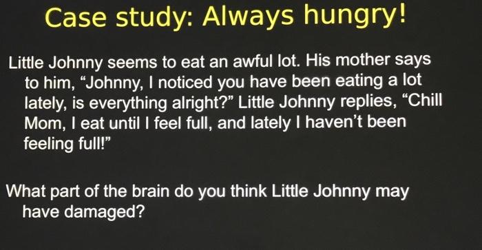 Solved Case study: Always hungry! Little Johnny seems to eat | Chegg.com