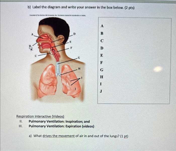 Solved b) Label the diagram and write your answer in the box | Chegg.com