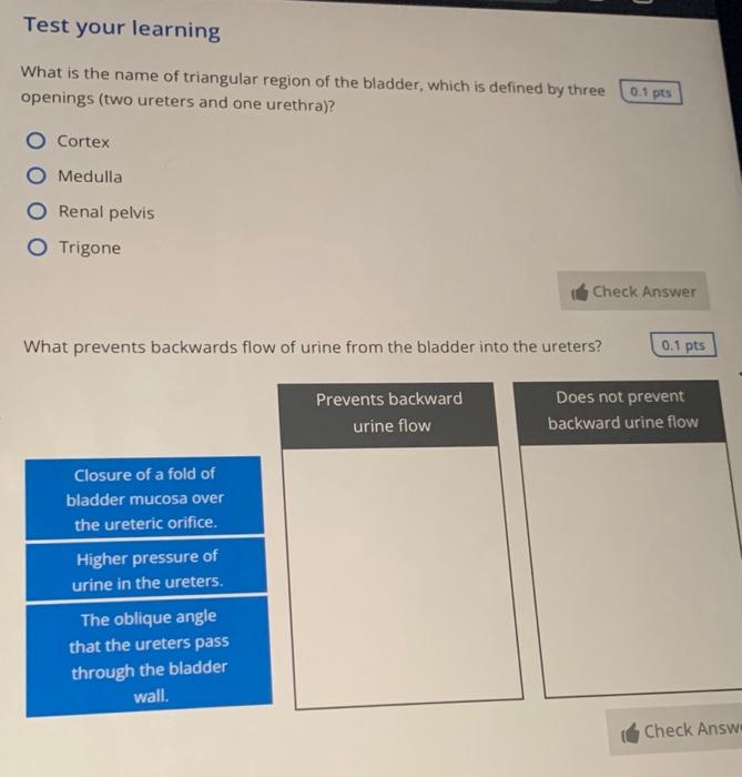Solved What is the name of triangular region of the bladder, | Chegg.com