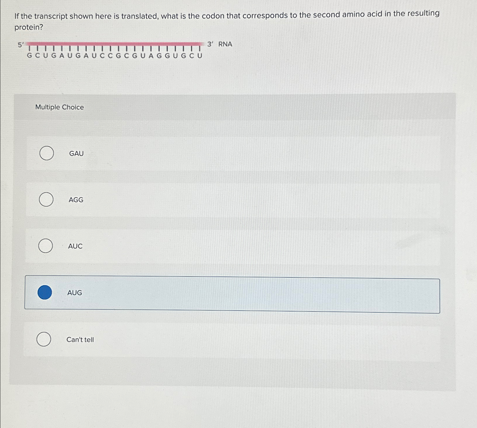 Solved If the transcript shown here is translated, what is | Chegg.com
