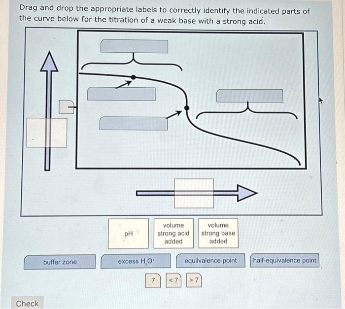 Solved Drag and drop the appropriate labels to correctly | Chegg.com