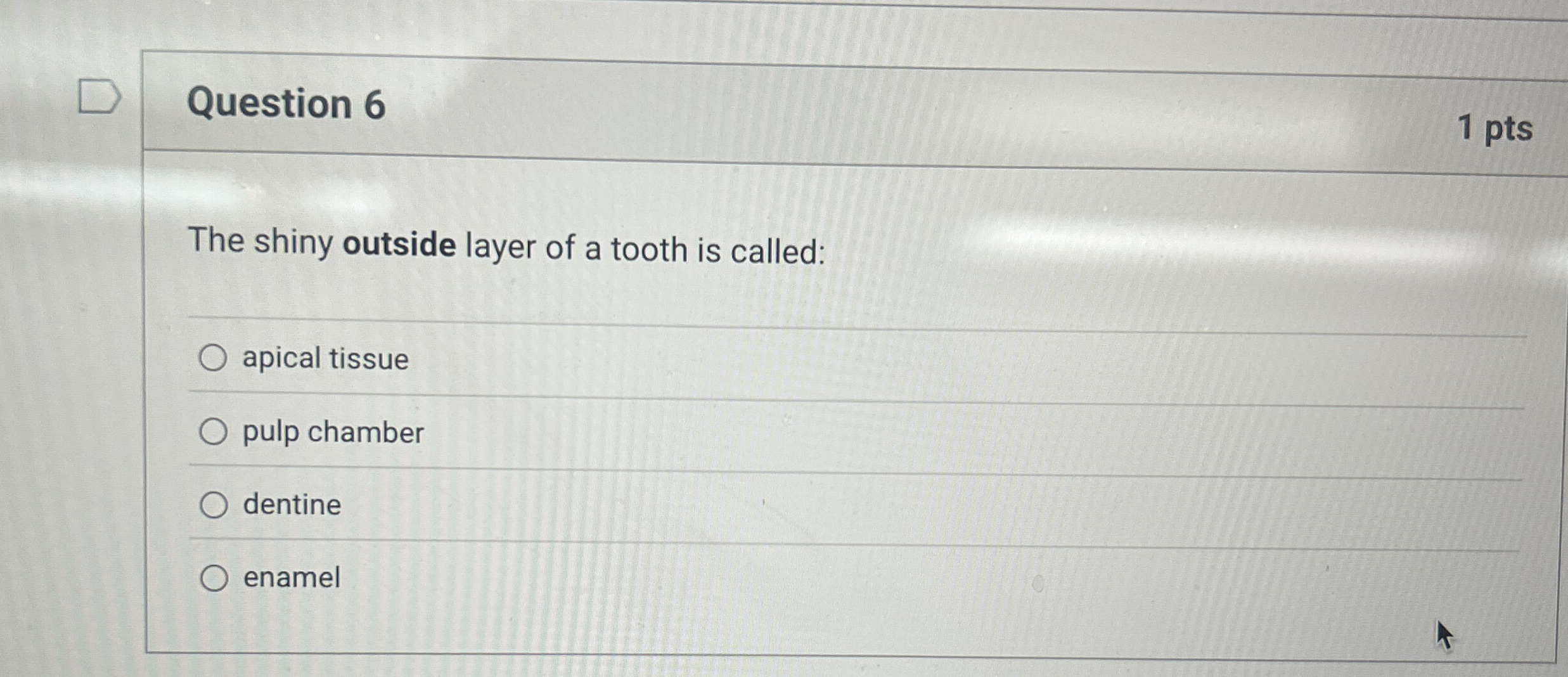 Solved Question 61 ptsThe shiny outside layer of a tooth is | Chegg.com Solved Question 61 ptsThe shiny outside layer of a tooth is | Chegg.com