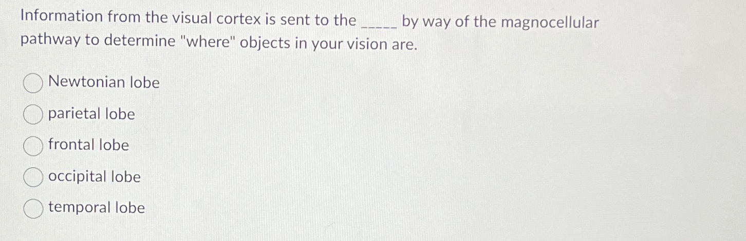 Solved Information from the visual cortex is sent to the by | Chegg.com