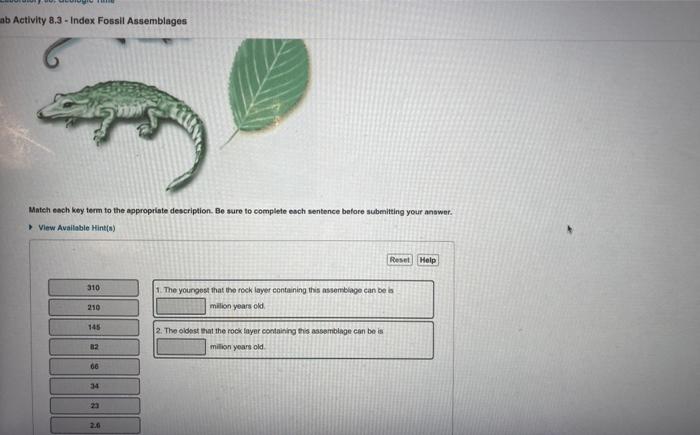 Solved ab Activity 8.3 - Index Fossil Assemblages The fossil | Chegg.com