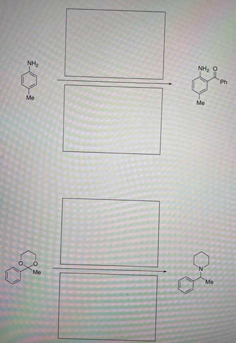 Solved NH2 NH2 Ph Me Me O Me Me | Chegg.com