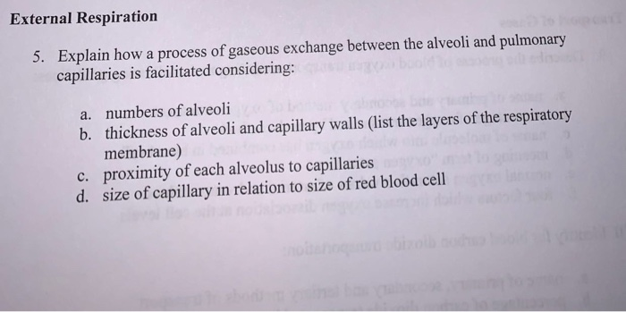 Solved External Respiration 5. Explain how a process of | Chegg.com
