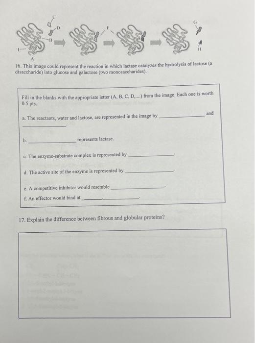 Solved 12. What type of interaction would occur between the | Chegg.com