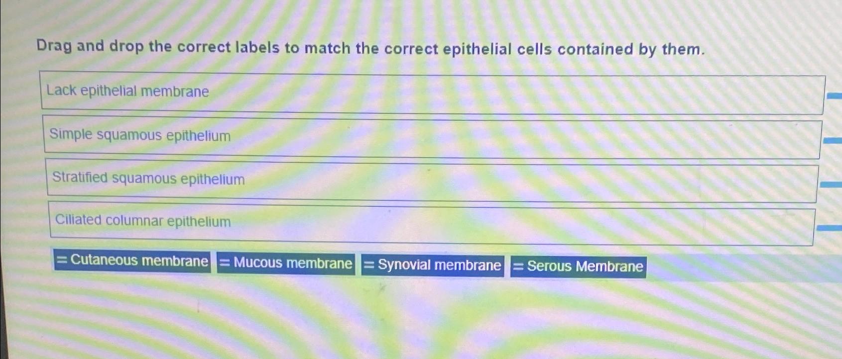Solved Drag and drop the correct labels to match the correct | Chegg.com