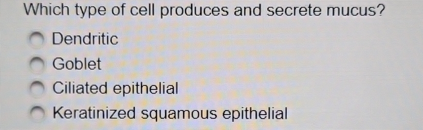Solved Which type of cell produces and secrete mucus? | Chegg.com