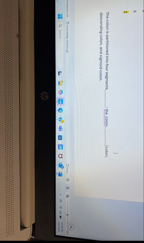 Solved 52The colon is partitioned into four segments q, ﻿the | Chegg.com
