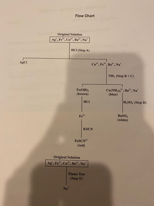 Solved i need help with my qualitative cation analysis lab. | Chegg.com
