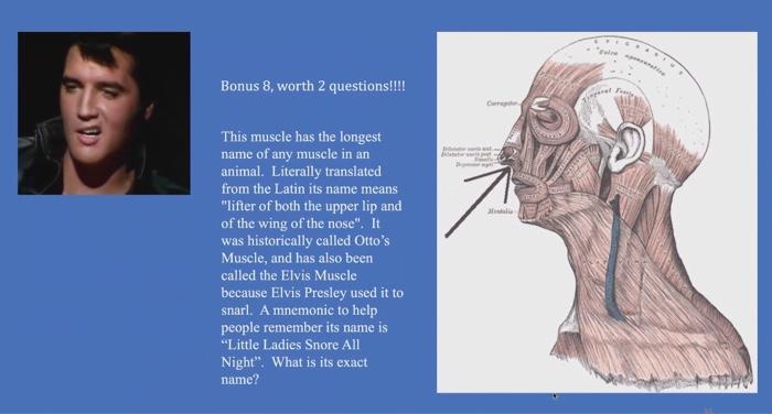 Solved Bonus 8, worth 2 questions!!!! 7 This muscle has the | Chegg.com