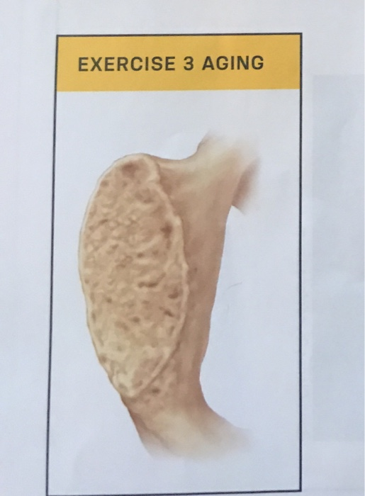 Solved 2. Examine the skeletal material (or the image in the | Chegg.com