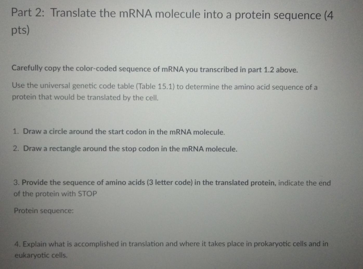 Solved Part 1: Transcribe a small fragment of DNA (3 pts) | Chegg.com
