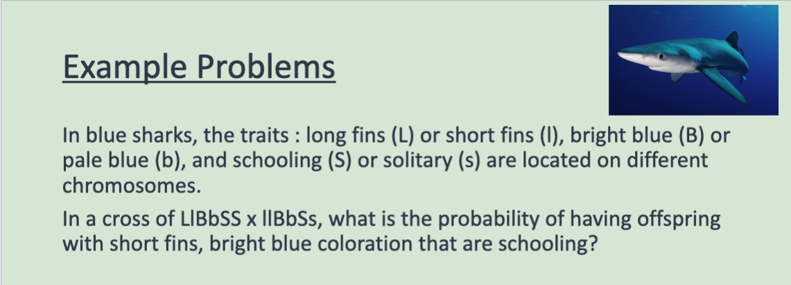 Solved please explain why the answer is 3/8! ﻿thank you | Chegg.com