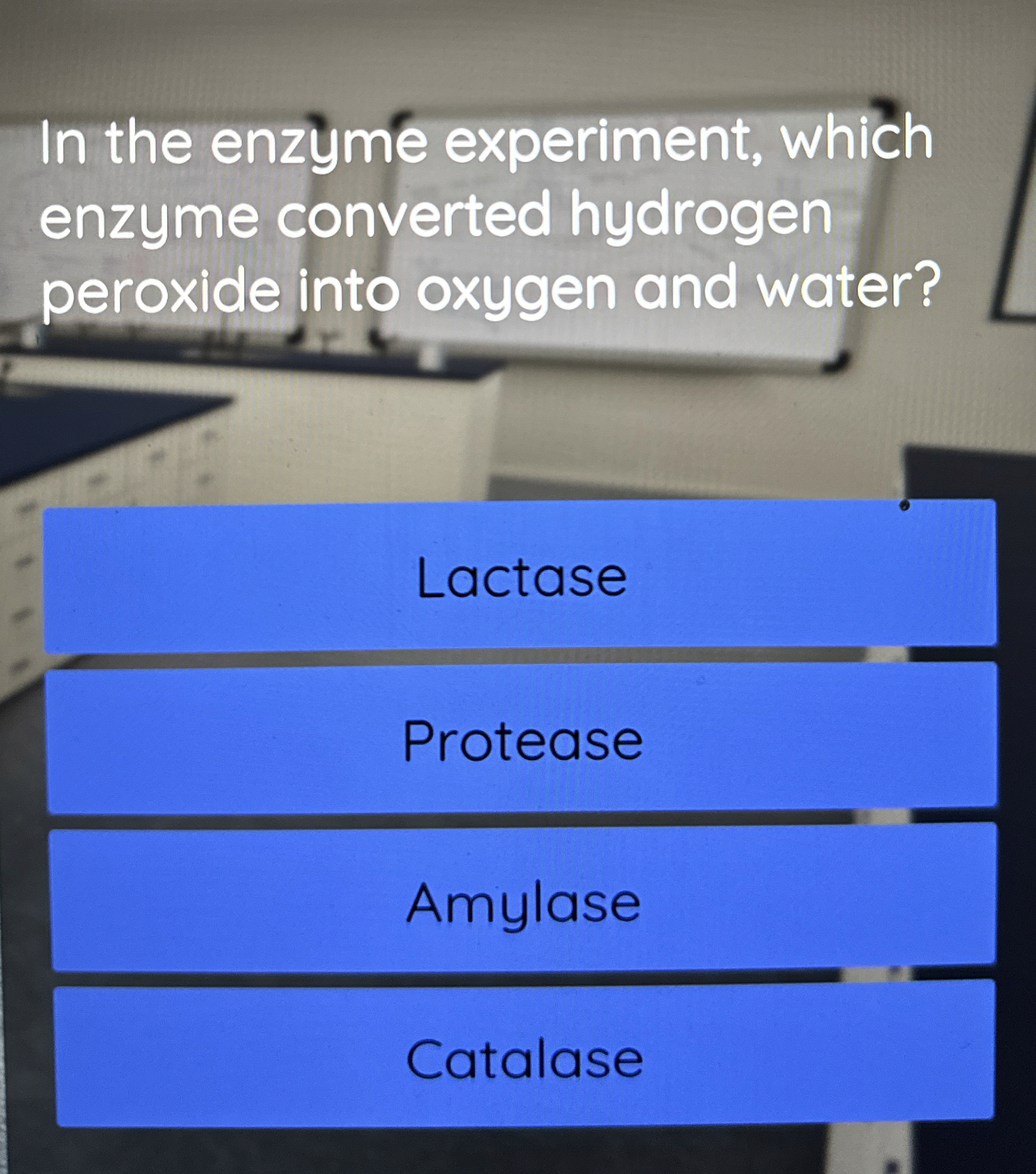 Solved In the enzyme experiment, which enzyme converted | Chegg.com