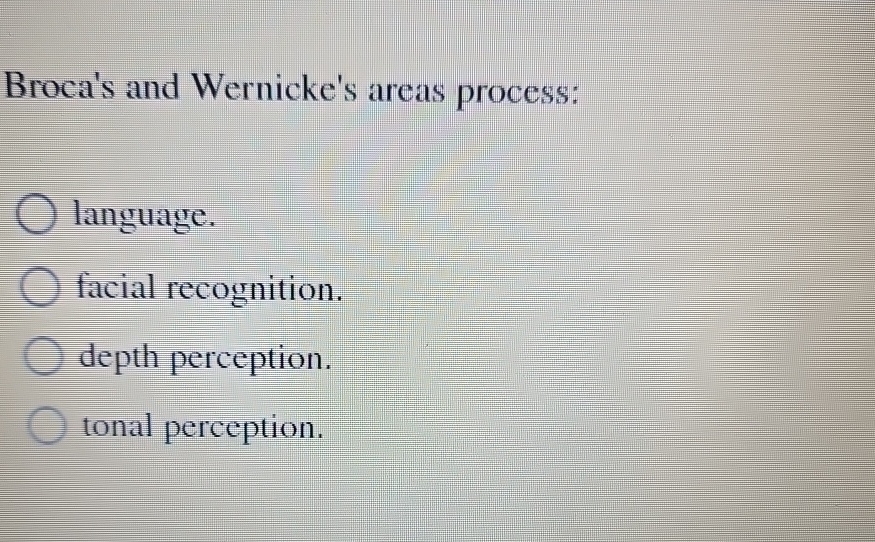Solved Broca's and Wernicke's areas process:language.facial | Chegg.com