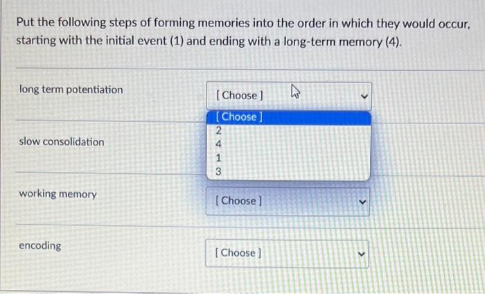 Solved Put the following steps of forming memories into the | Chegg.com
