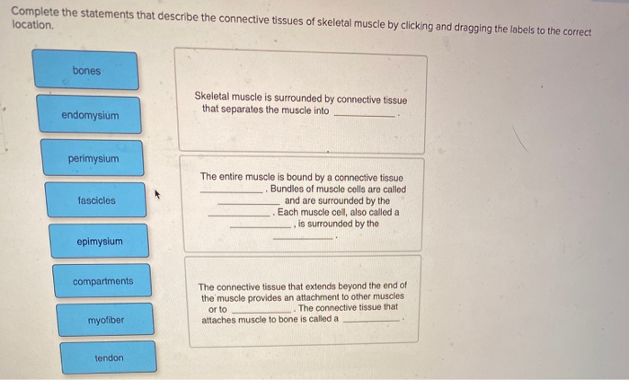 Solved Complete the statements that describe the connective | Chegg.com