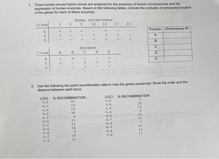 Solved Three human-mouse hybrid clones are analyzed for the | Chegg.com