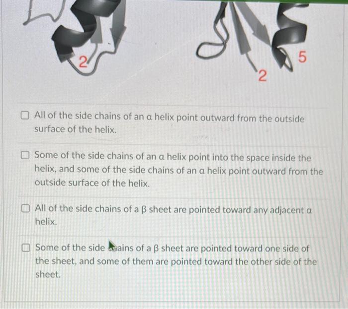 Solved Shown below are two cartoon views of the small | Chegg.com