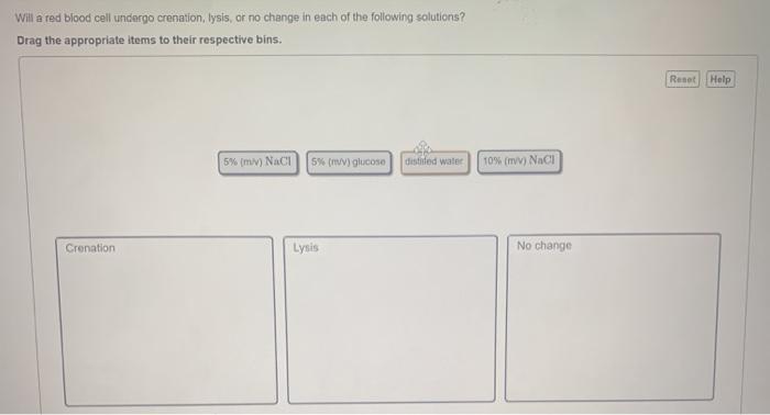 Solved Will a red blood cell undergo crenation, lysis, or no | Chegg.com