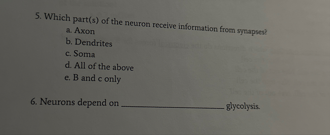 Solved Which part(s) ﻿of the neuron receive information from | Chegg.com