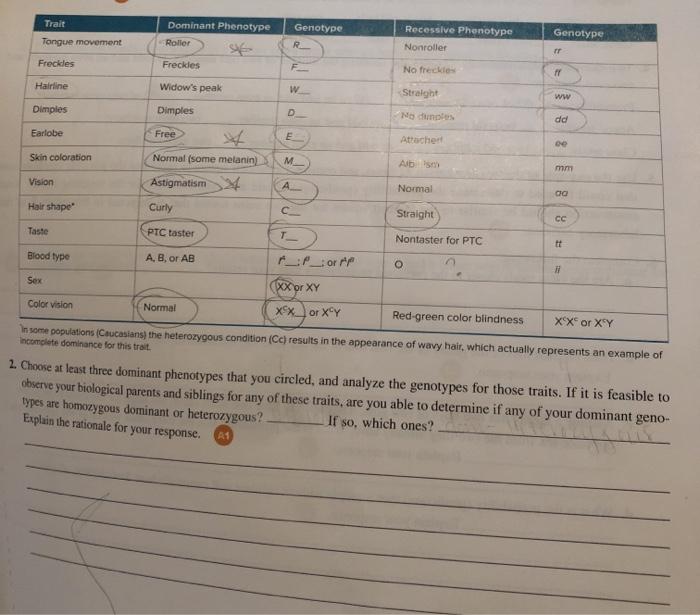 Solved Trait Dominant Phenotype Genotype R_ Recessive | Chegg.com