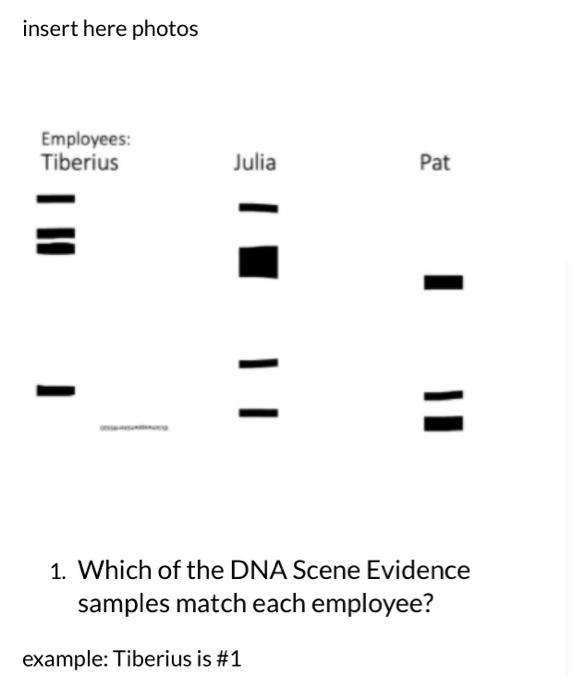 Which of the DNA Scene Evidencesamples match each | Chegg.com