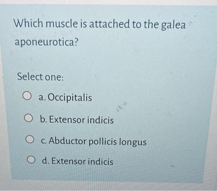 Solved Which muscle is attached to the galea aponeurotica? | Chegg.com
