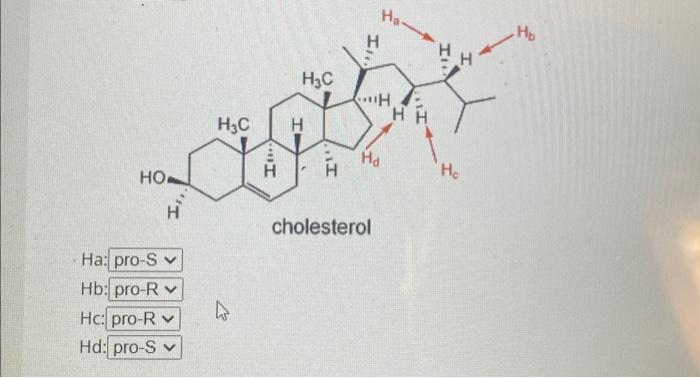 Solved cholesterol Ha: pro-S v Hb: pro-R Hc: pro-R ∨ Hd: | Chegg.com