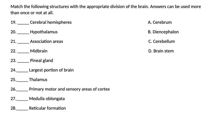 Solved Match the following structures with the appropriate | Chegg.com