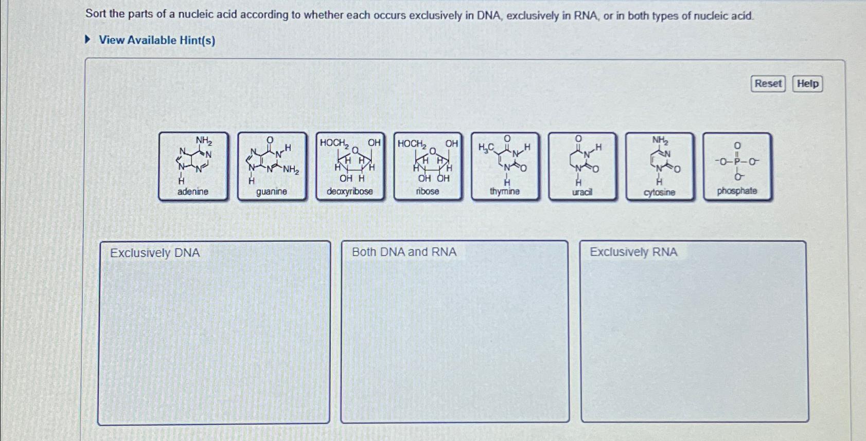 Solved Sort the parts of a nucleic acid according to whether | Chegg.com