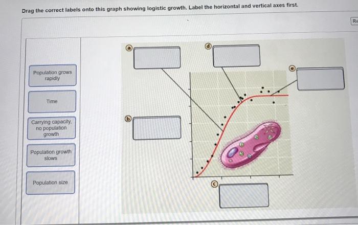 Solved Drag the correct labels onto this graph showing | Chegg.com