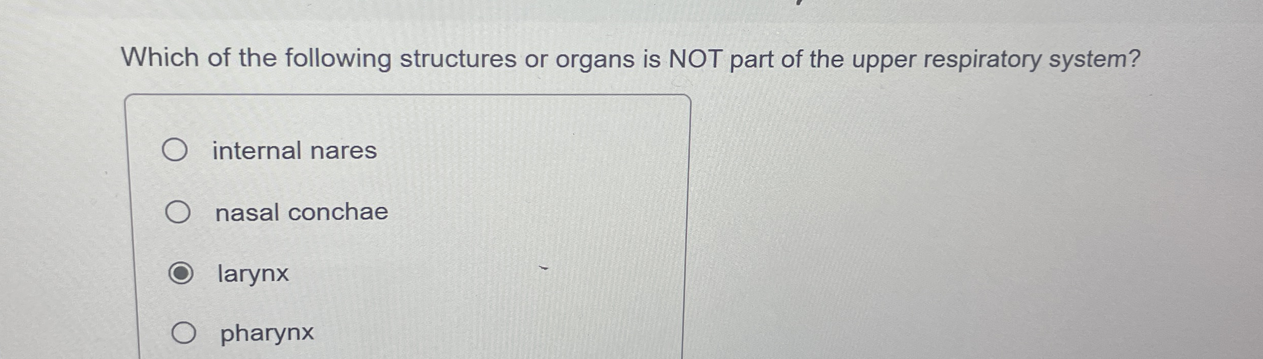 Solved Which of the following structures or organs is NOT | Chegg.com