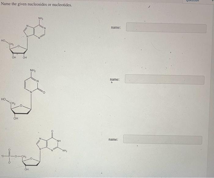 Solved Name the given nucleosides or nucleotides. name: | Chegg.com