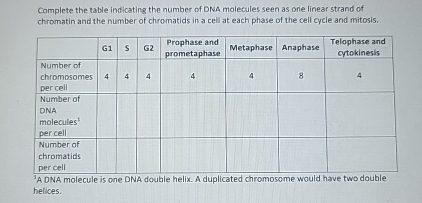 Solved Complete the table indicating the number of DNA | Chegg.com