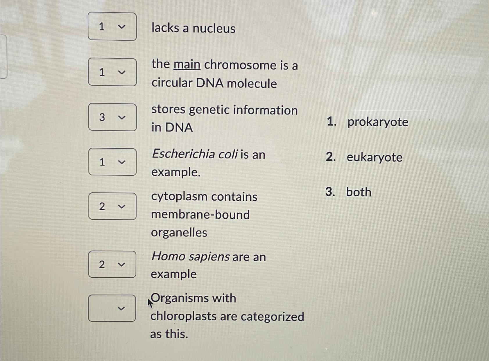 Solved lacks a nucleusthe main chromosome is a circular DNA | Chegg.com